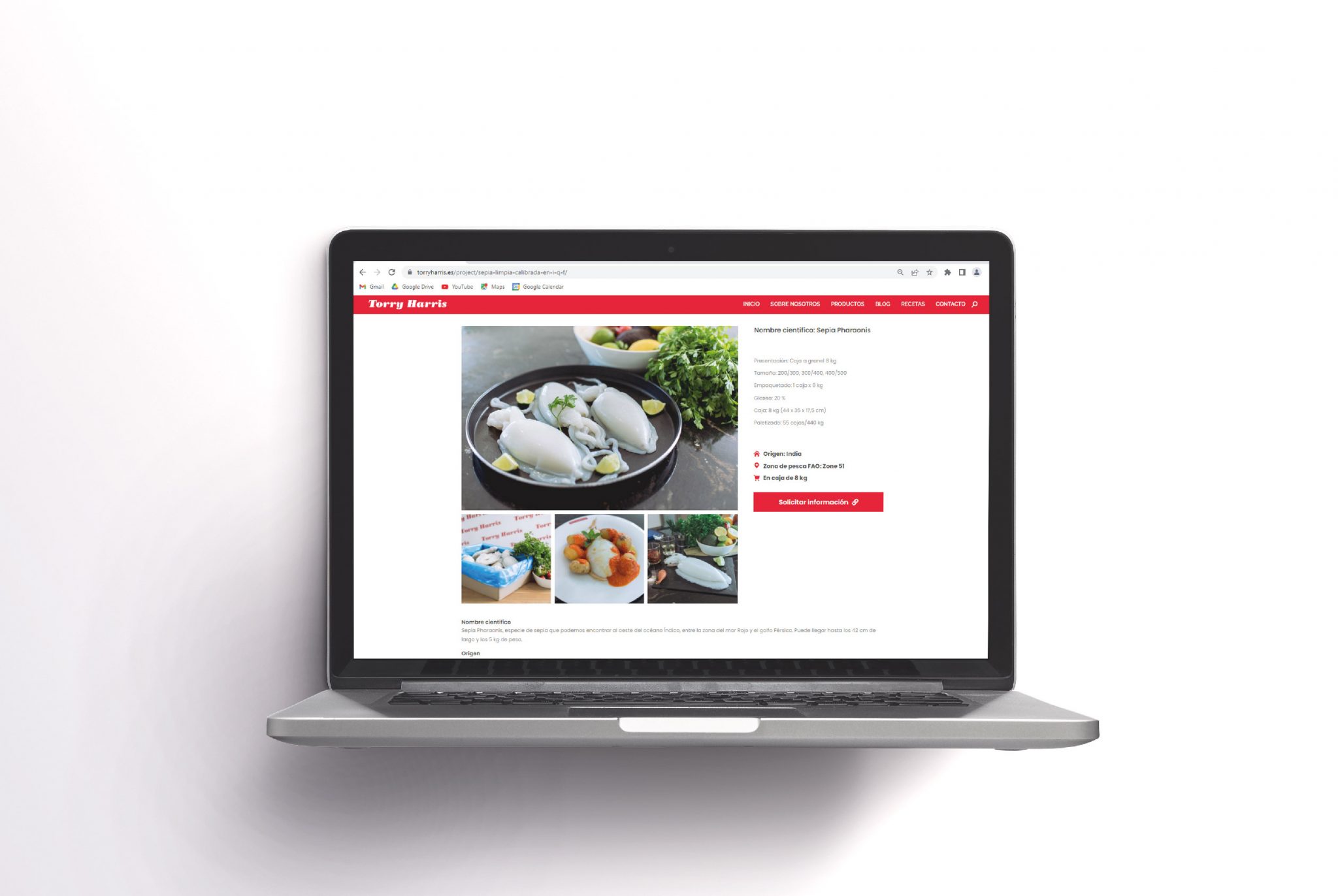 ¿Conoces nuestra nueva web? - Torry Harris España